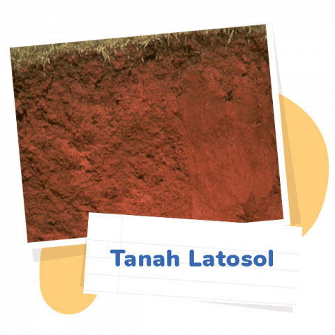 Jenis-Jenis Tanah dan Persebarannya - Pahamify | Taklukkan UTBK